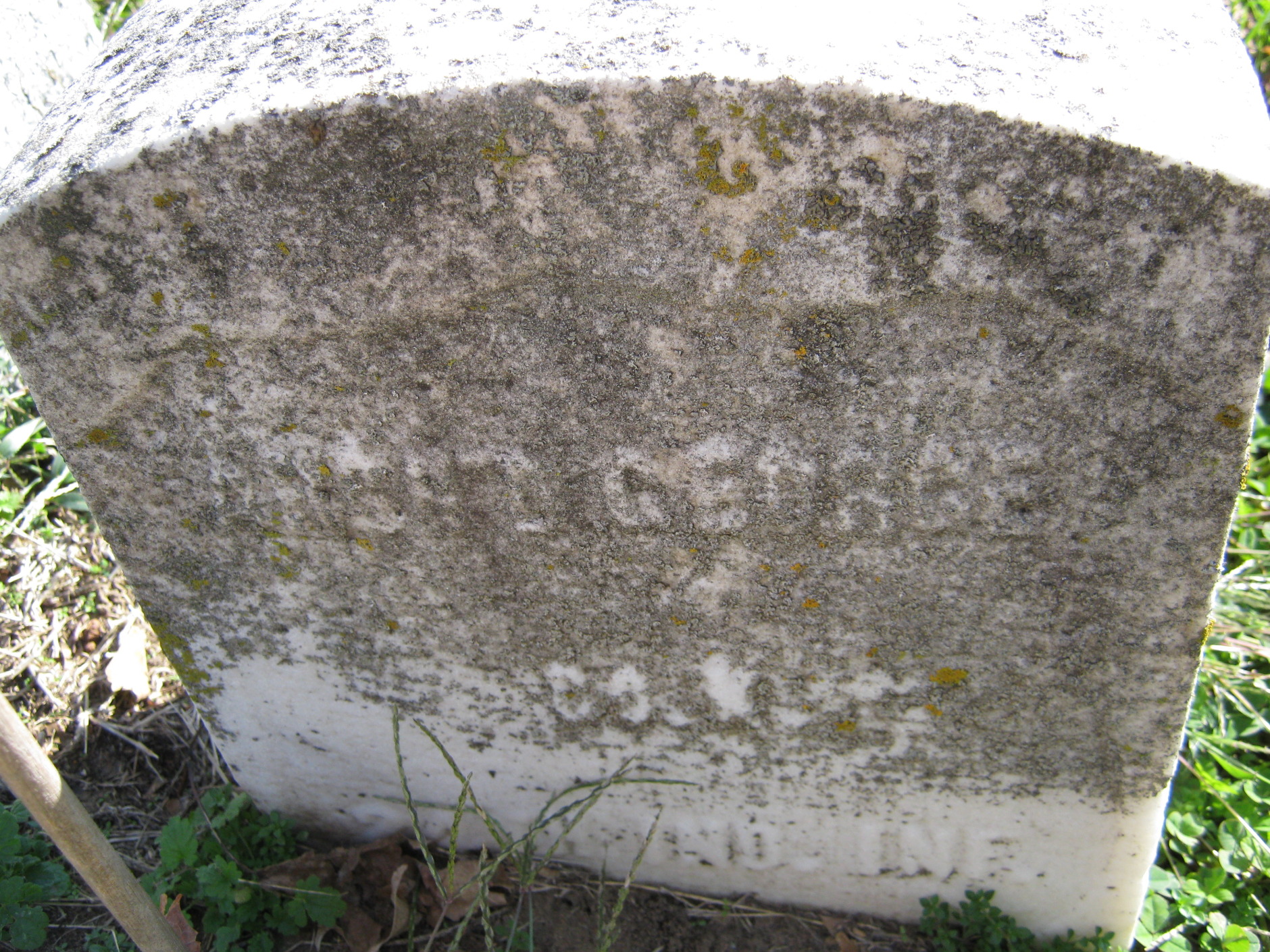 Oak Hill Cemetery (Gibson County, Ind.) – SUVCW Foster Camp No. 2